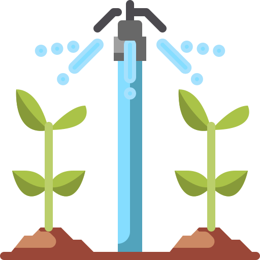 Blossom Flowers Landscaping and Nursery